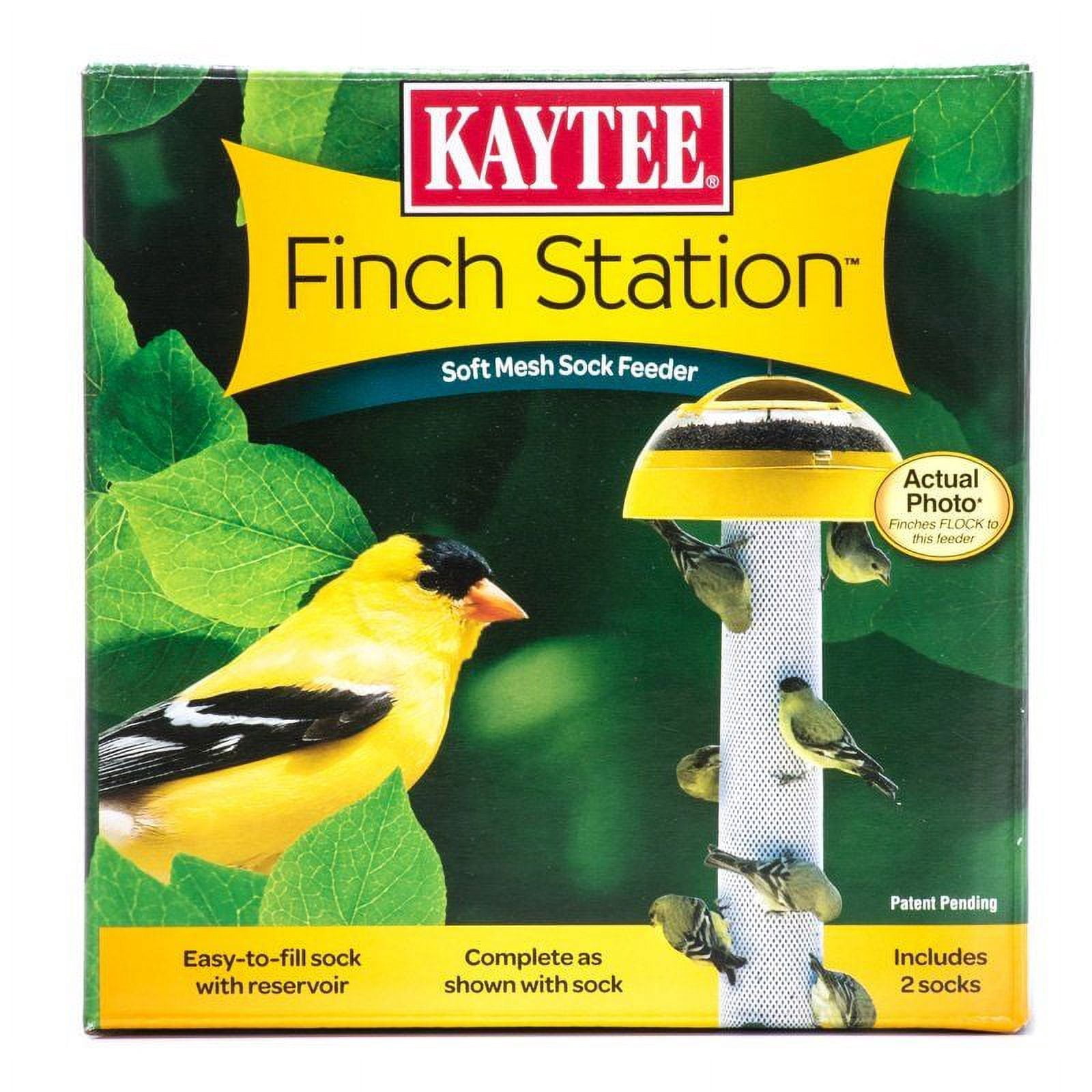 Kaytee Finch Station Sock Feeder: Bird Seed Feeding Food Station ...