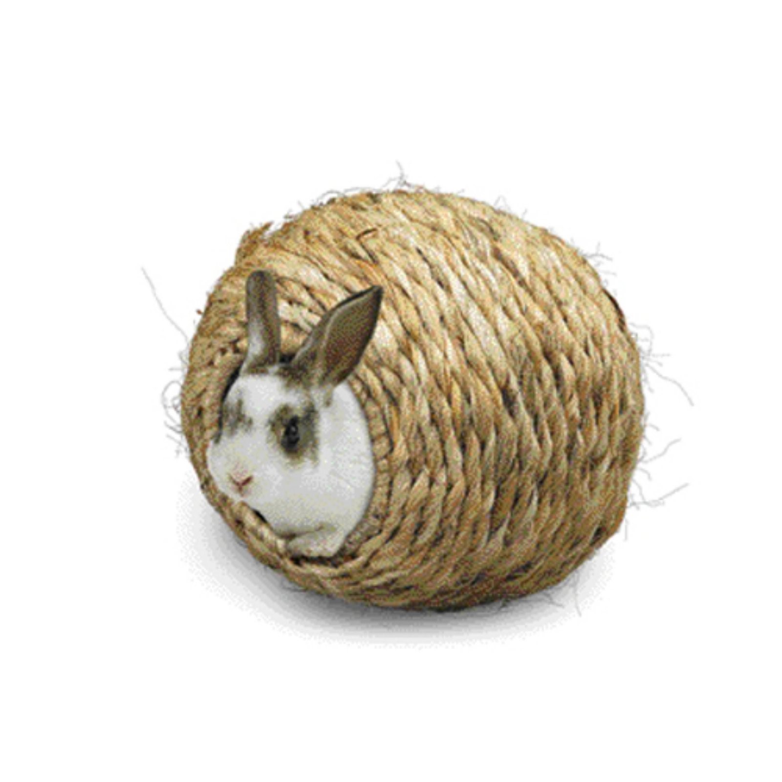 Kaytee Roll-A-Nest Grassy Hideout Small Animal Resting Place, Large ...