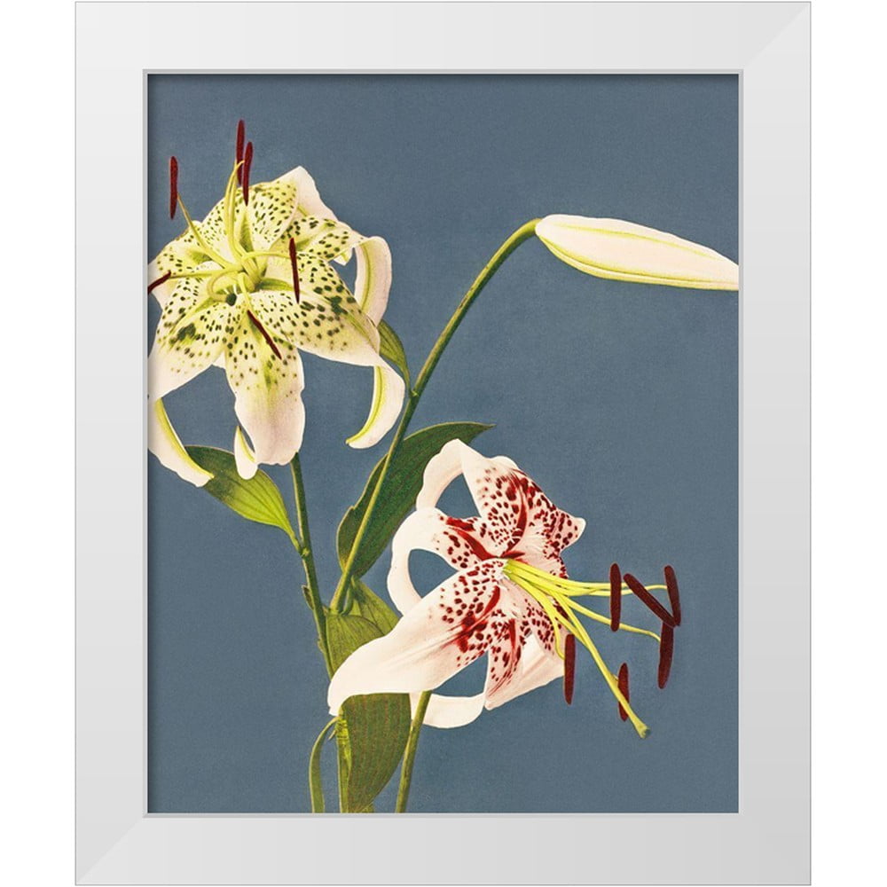 Kazumasa, Ogawa 26x32 White Modern Wood Framed Museum Art Print Titled ...