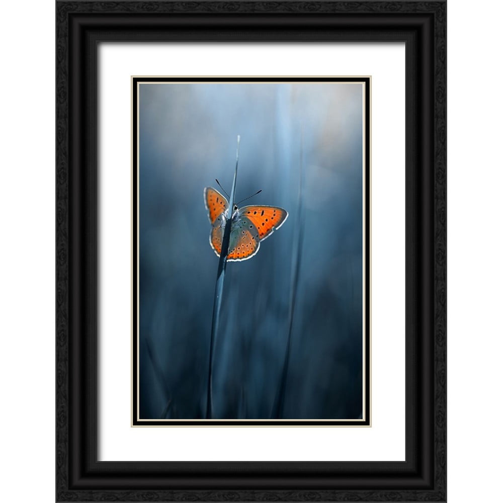 Kazun, Andrii 17x24 Black Ornate Wood Framed with Double Matting Museum Art Print Titled - shy ...