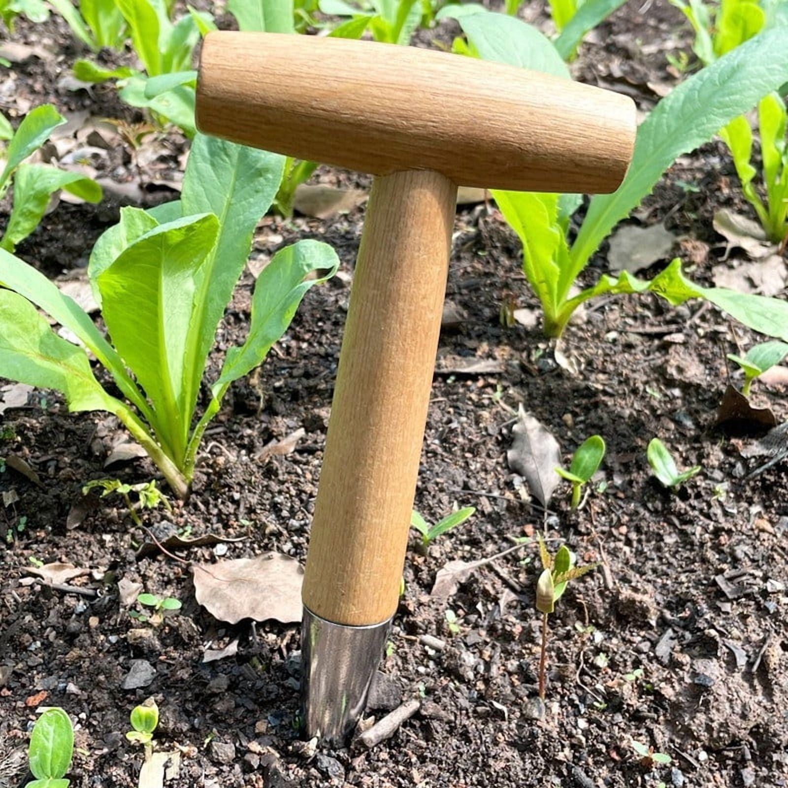 Kchsji Sowing Drilling Transplanting Tool - Stainless Steel Seeder for ...