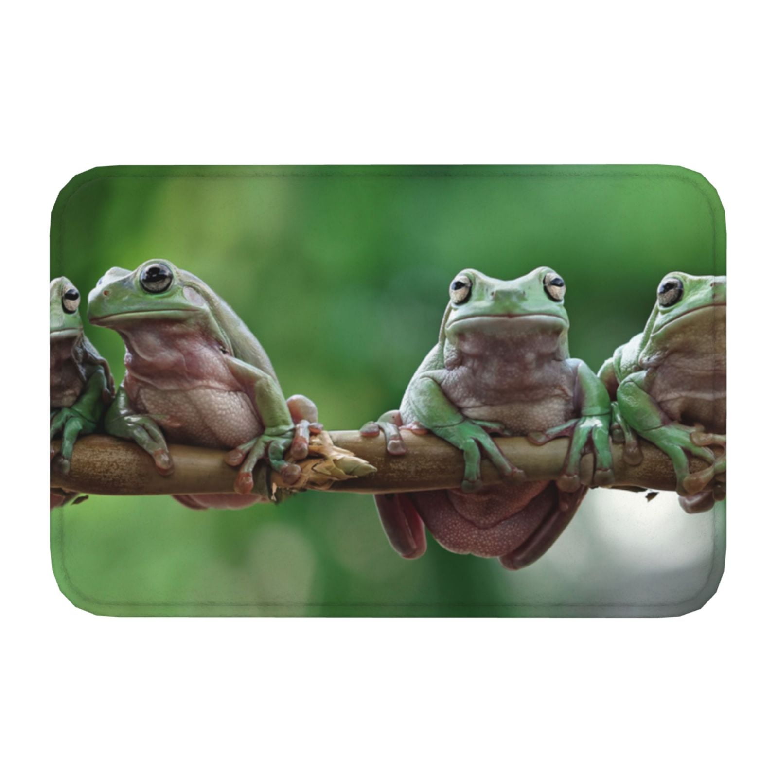 Kdxio Australian White Tree Frog Sitting on Branch,16" x 24", Non-Slip ...