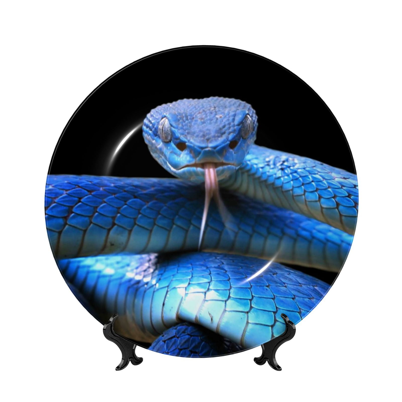 Kdxio Blue Viper Snake Bone China Decorative Plate Ceramic Decorative ...