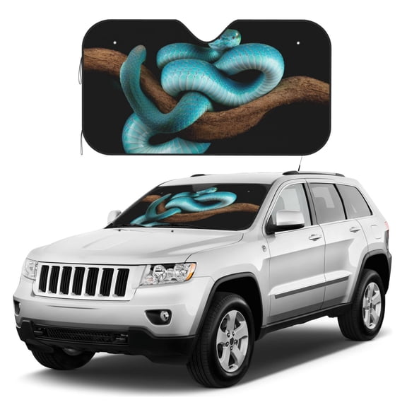 Portable Car Viper