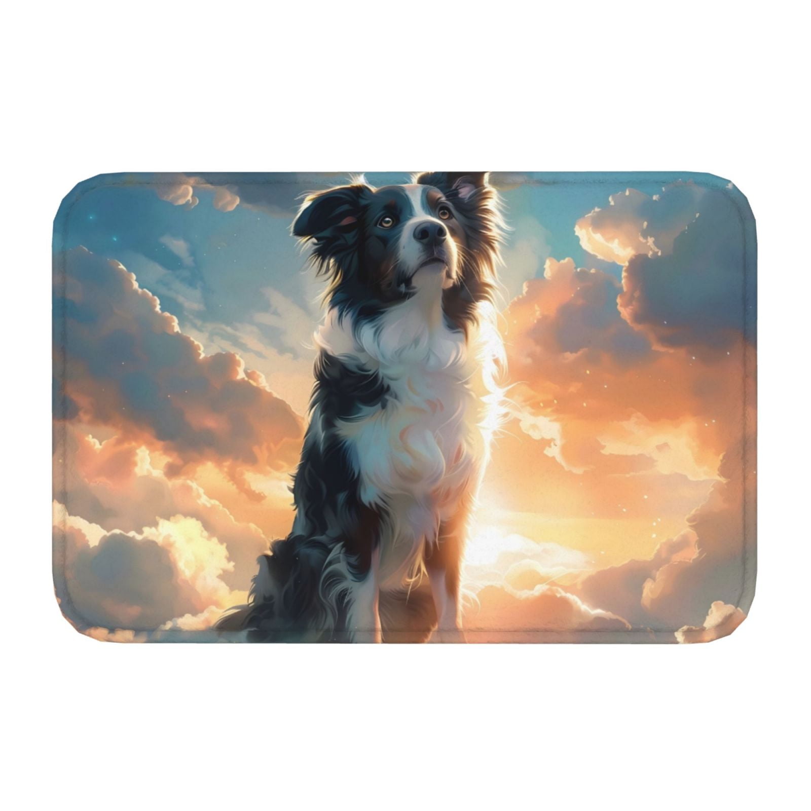 Kdxio Cloud Border Collie,16" x 24", Non-Slip Front Door Mats,Outdoor ...