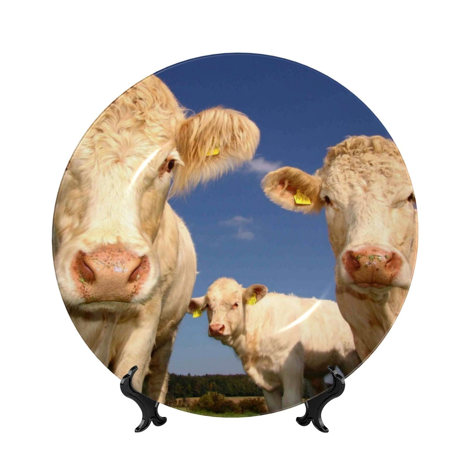Kdxio Cows Cattles Bone China Decorative Plate Ceramic Decorative Plate ...
