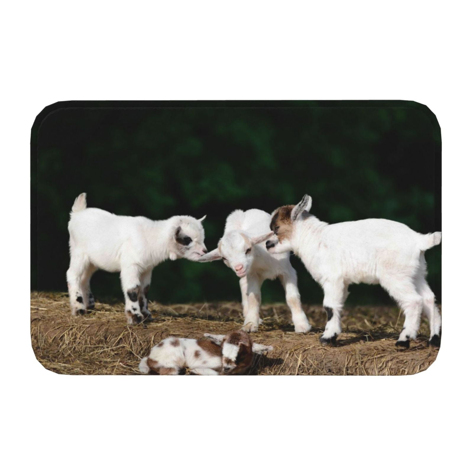 Kdxio Cute Goat Baby,16" x 24", Non-Slip Front Door Mats,Outdoor ...