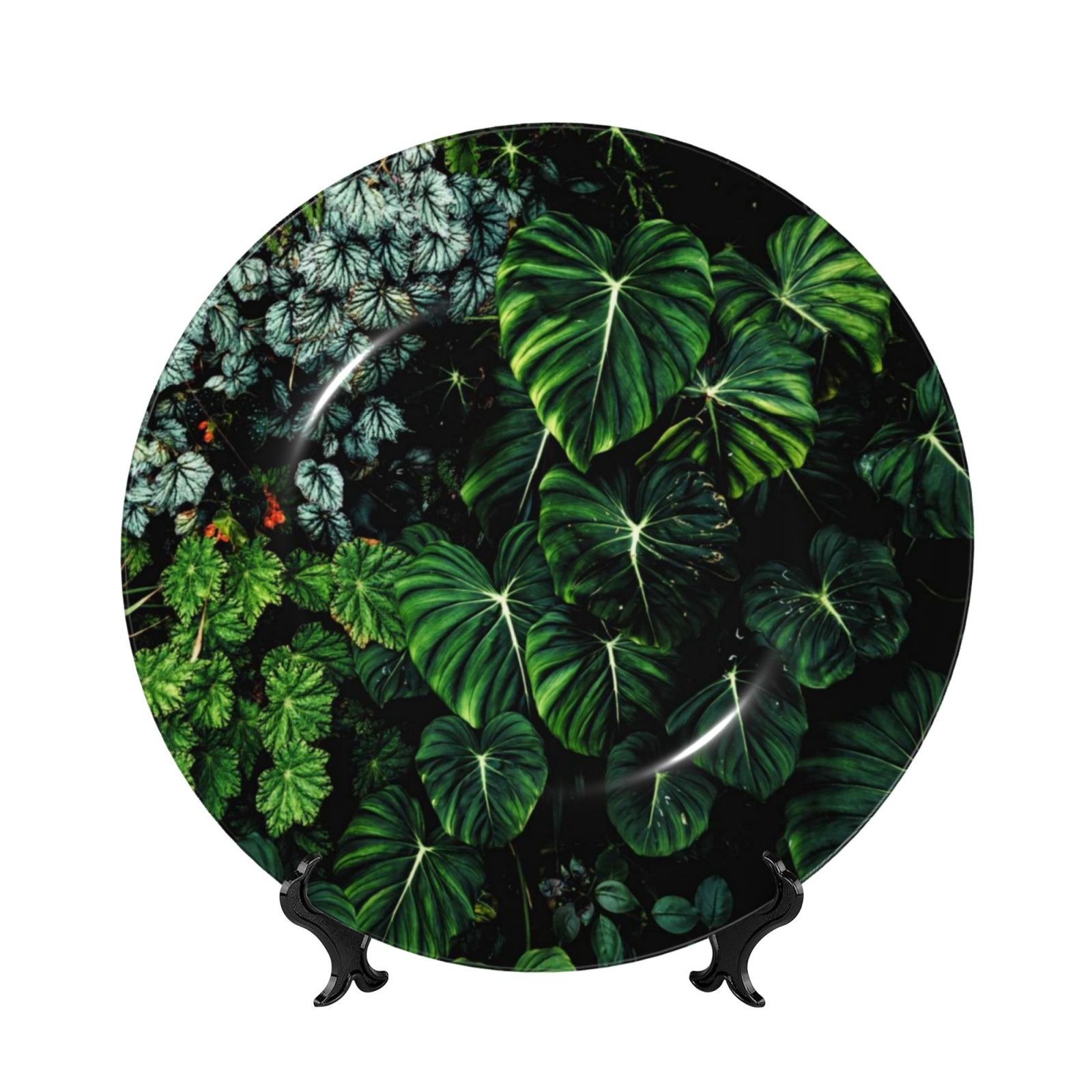 Kdxio Lush Foliage Green Plant Bone China Decorative Plate Ceramic ...