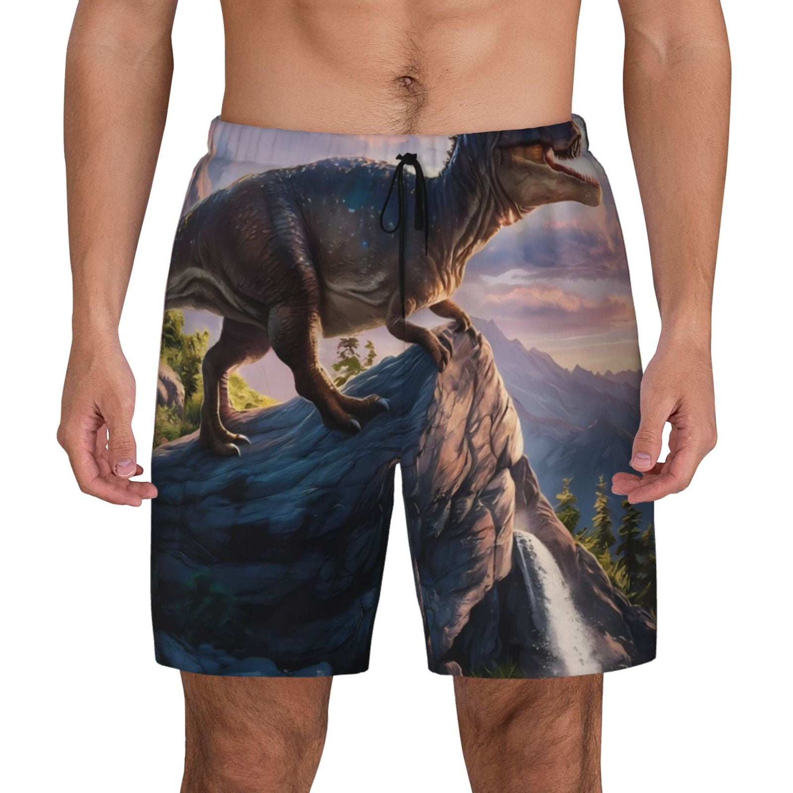 Kdxio Sunset Cliff Dinosaur Print Men's Swim Trunks with Compression ...