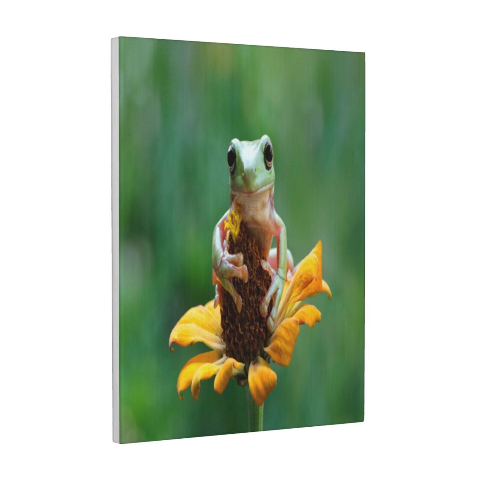 Kdxio Tree Frog Sitting On Sunflowes Pattern Canvas Wall Art 12x16 ...