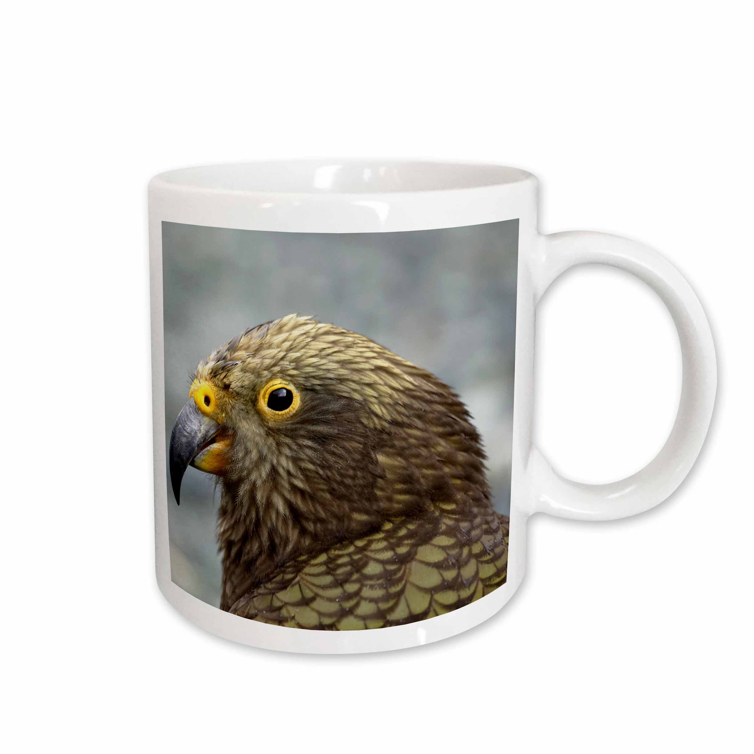 3drose, Kea, Alpine Parrot, Tropical Bird, New Zealand-au02 Dwa4894 ...