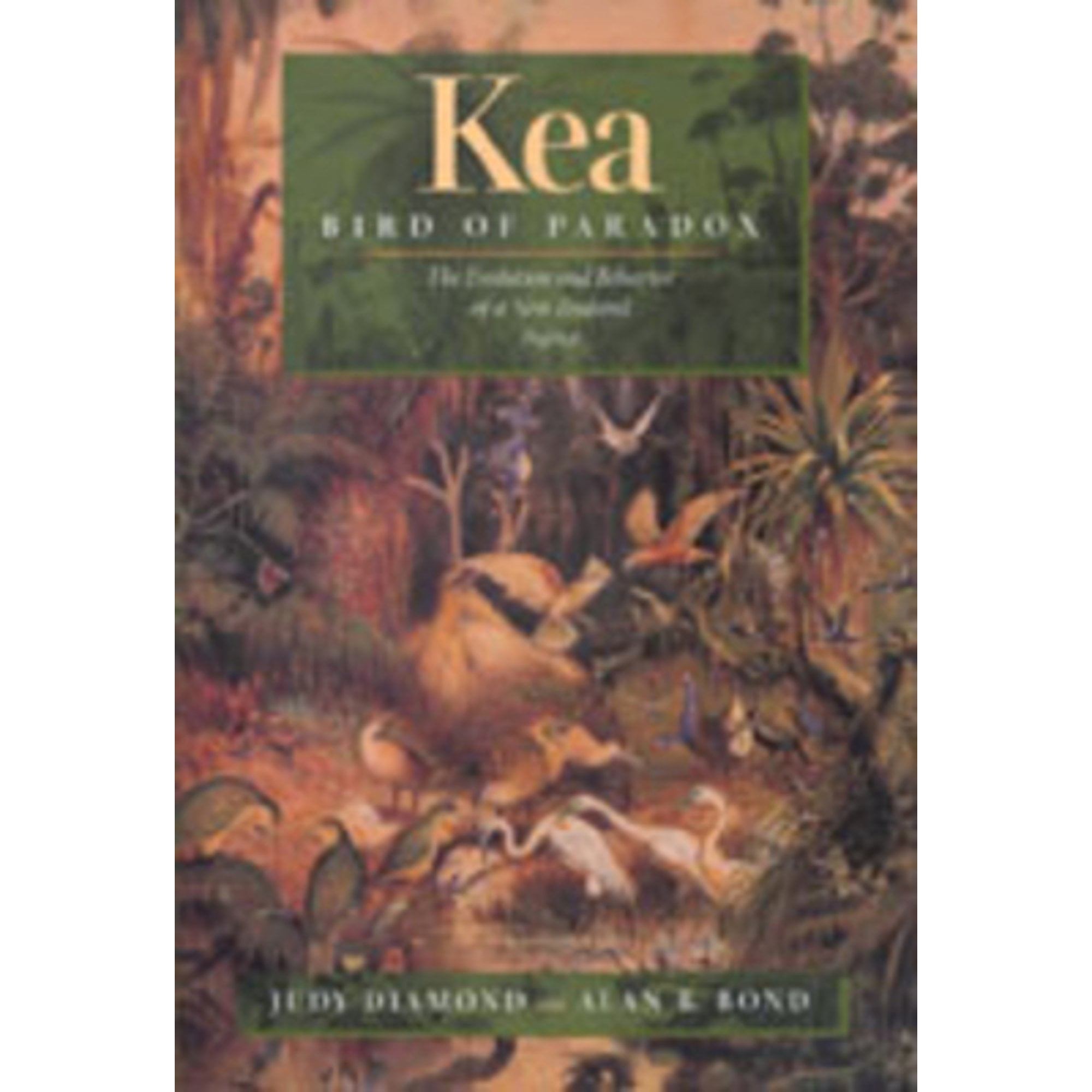 Pre-Owned Kea, Bird of Paradox: The Evolution and Behavior of a New ...