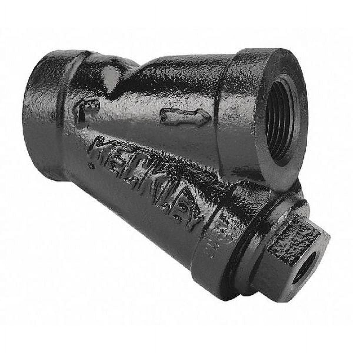 Keckley Y Strainer,5 3/4" H,20 mesh,Cast Iron 11/23THY-CIM20M34-FTI-B7 ...