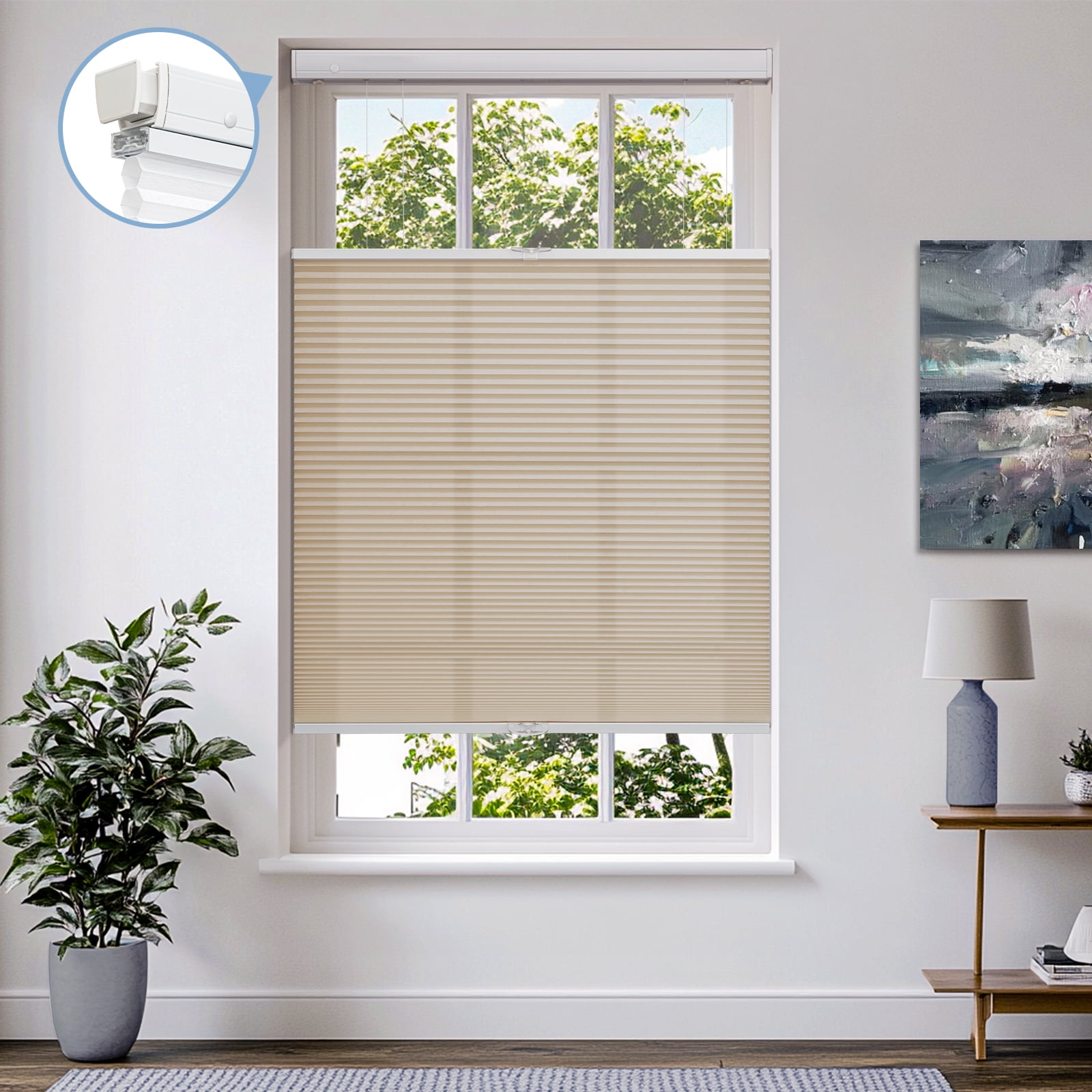 Up Down Window Shades