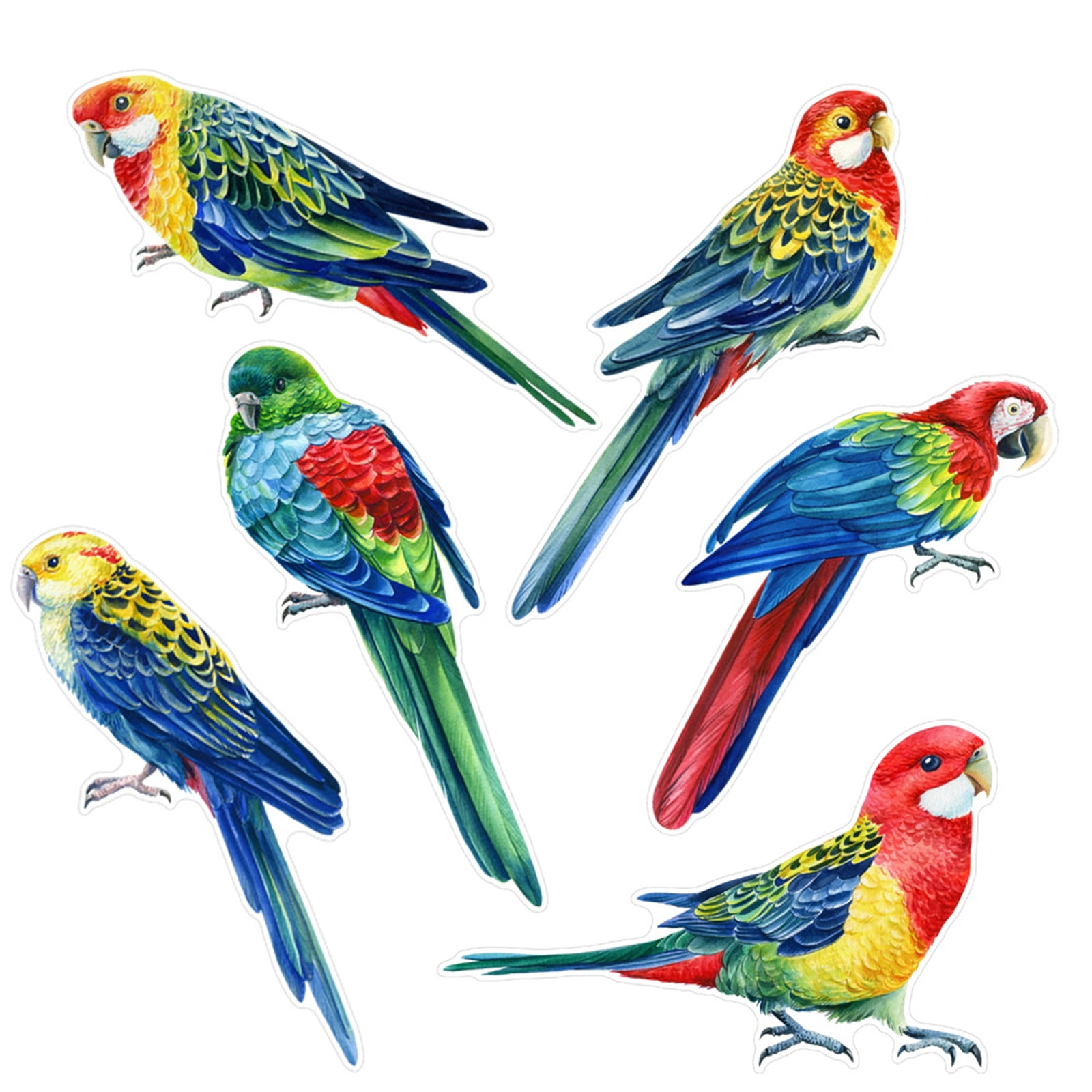 Keep Bird Safe and Decorate Home Offices with Window Stickers Static ...