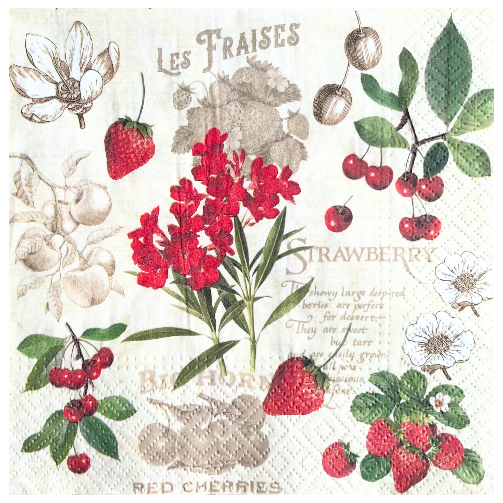 Keep Unique Printed Paper Napkins, Decoupage Napkins Fruit, Assorted ...