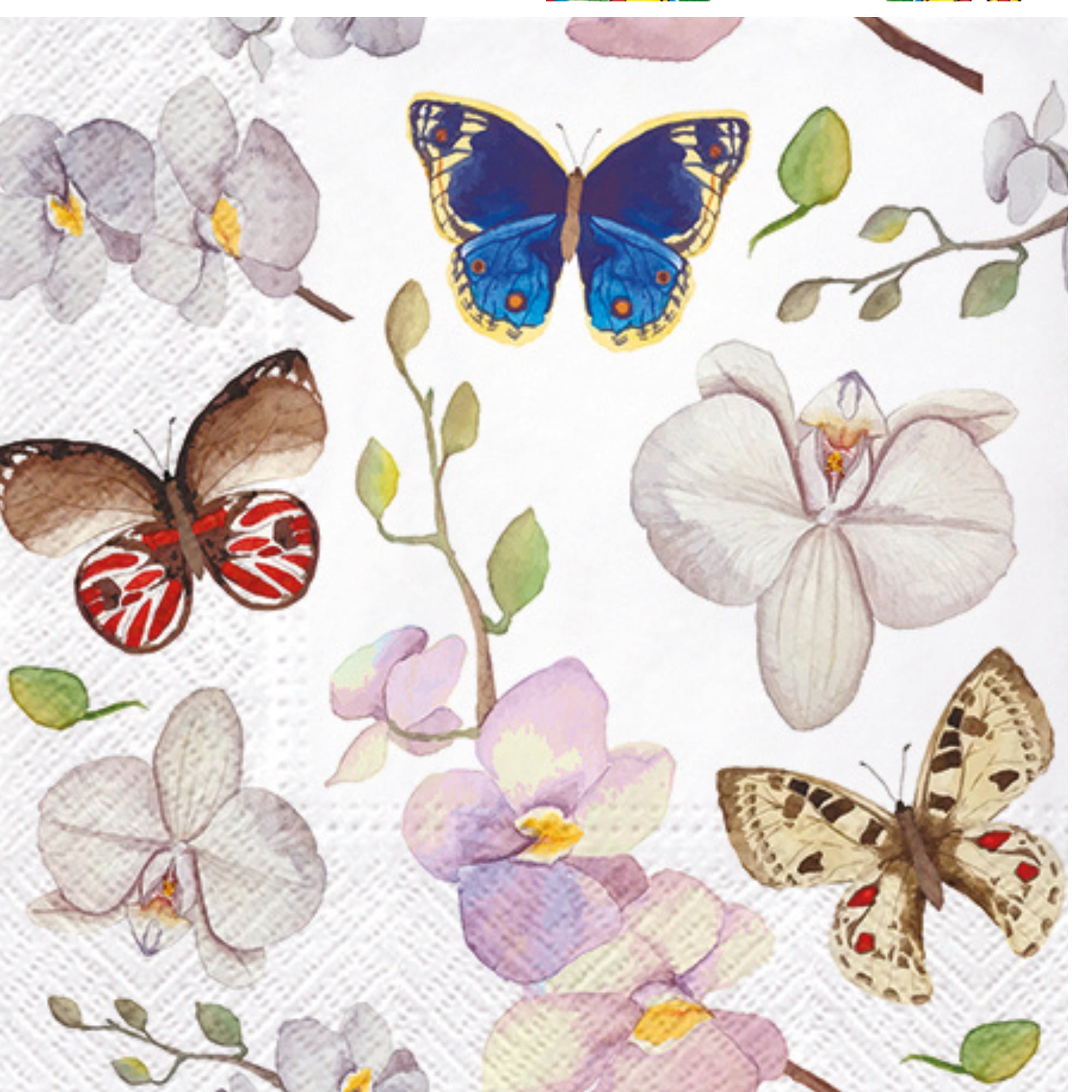 Keep Unique Spring Butterfly Paper Luncheon Napkins, Decoupage Napkins ...