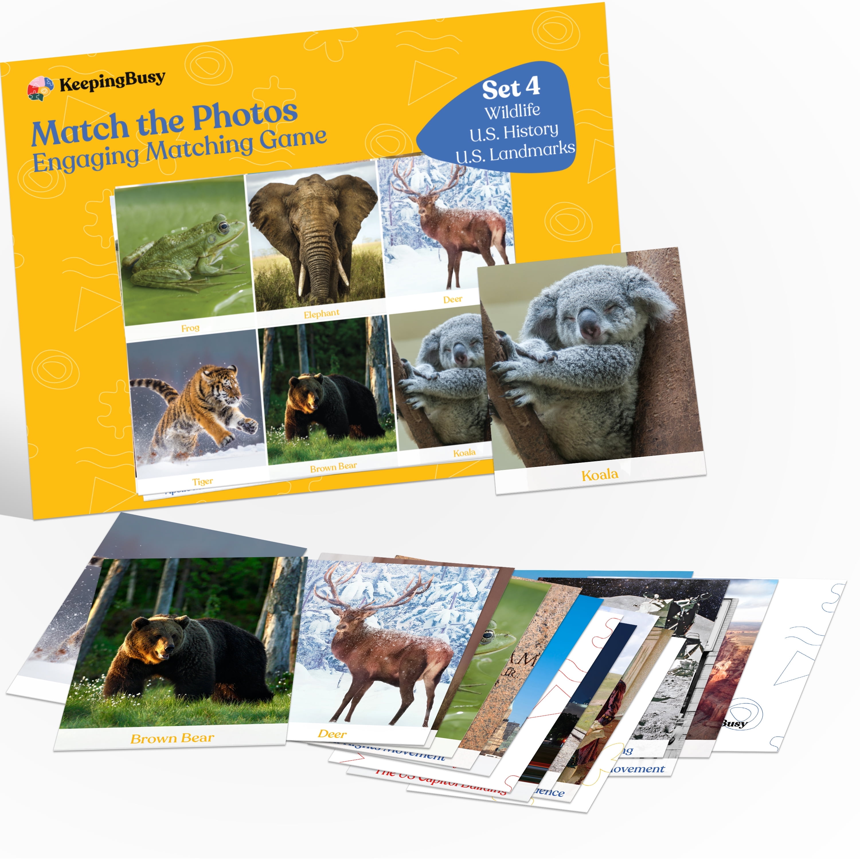 Keeping Busy Match The Photo Activity for Late Dementia, with Fun Facts ...