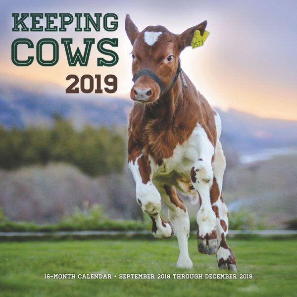 Keeping Cows 2019 Calendar - Walmart.com