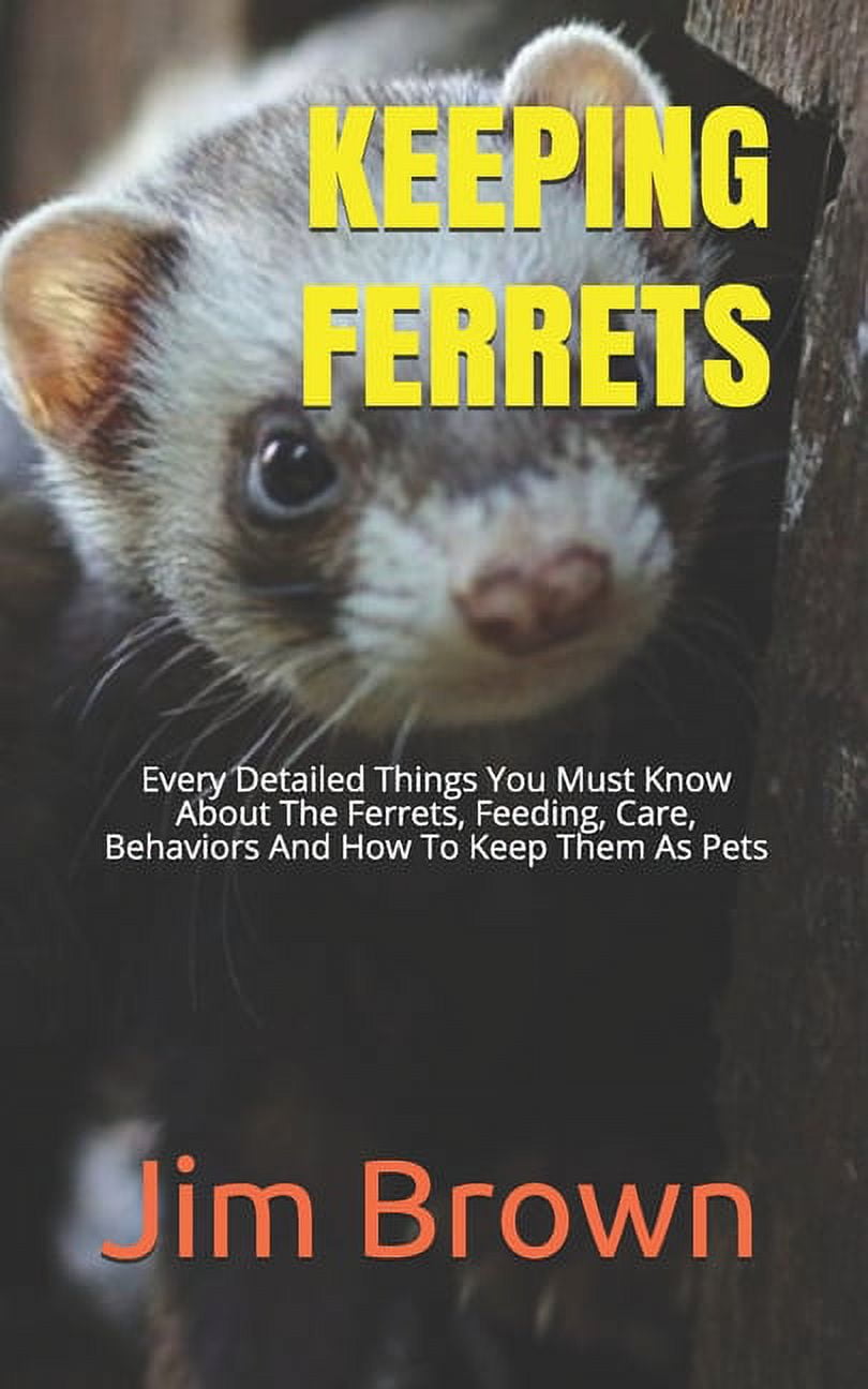 Keeping Ferrets : Every Detailed Things You Must Know About The Ferrets ...