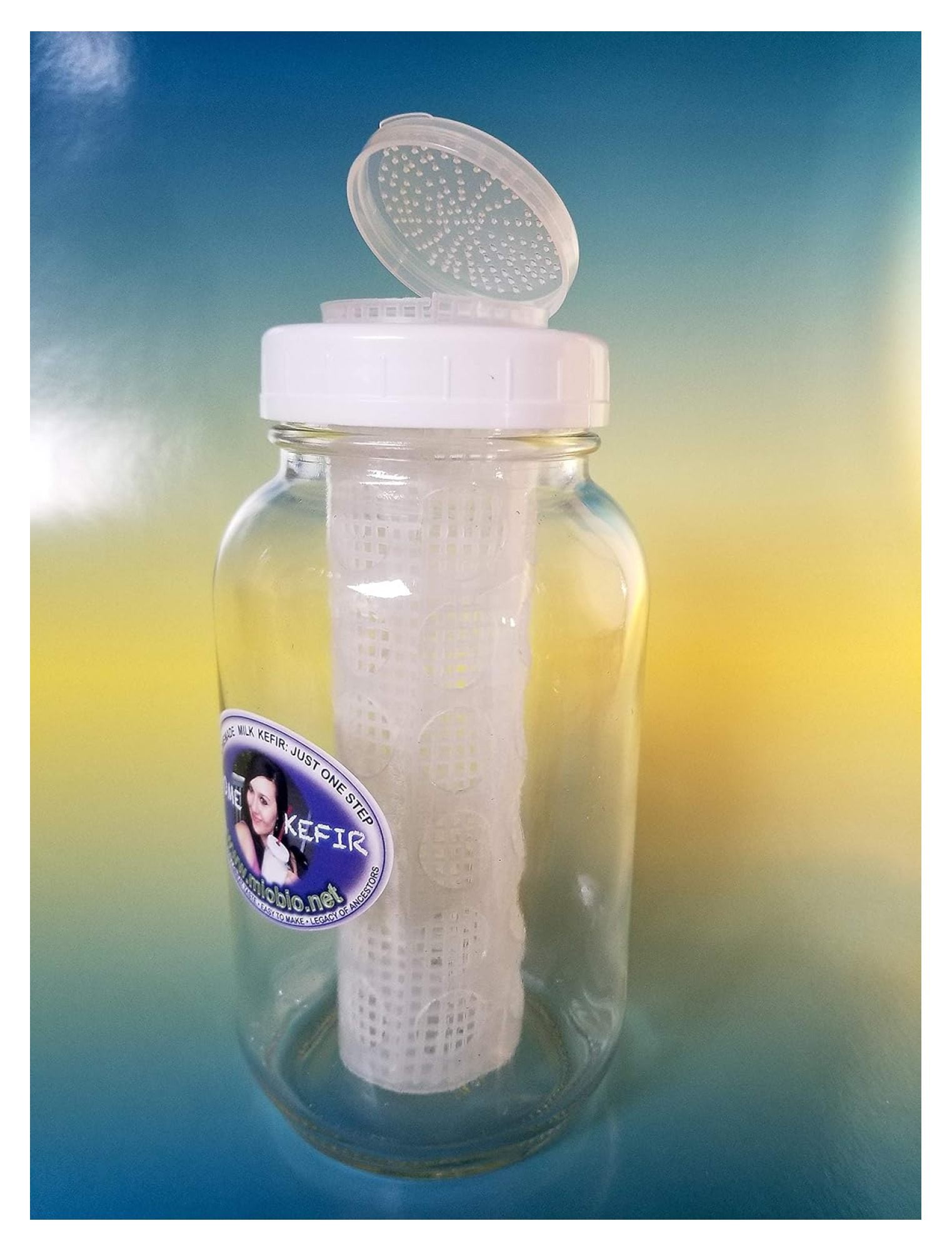 Kefir Fermenter - Infuser 0.6L/20oz for Simple and Rapid Homemade ...