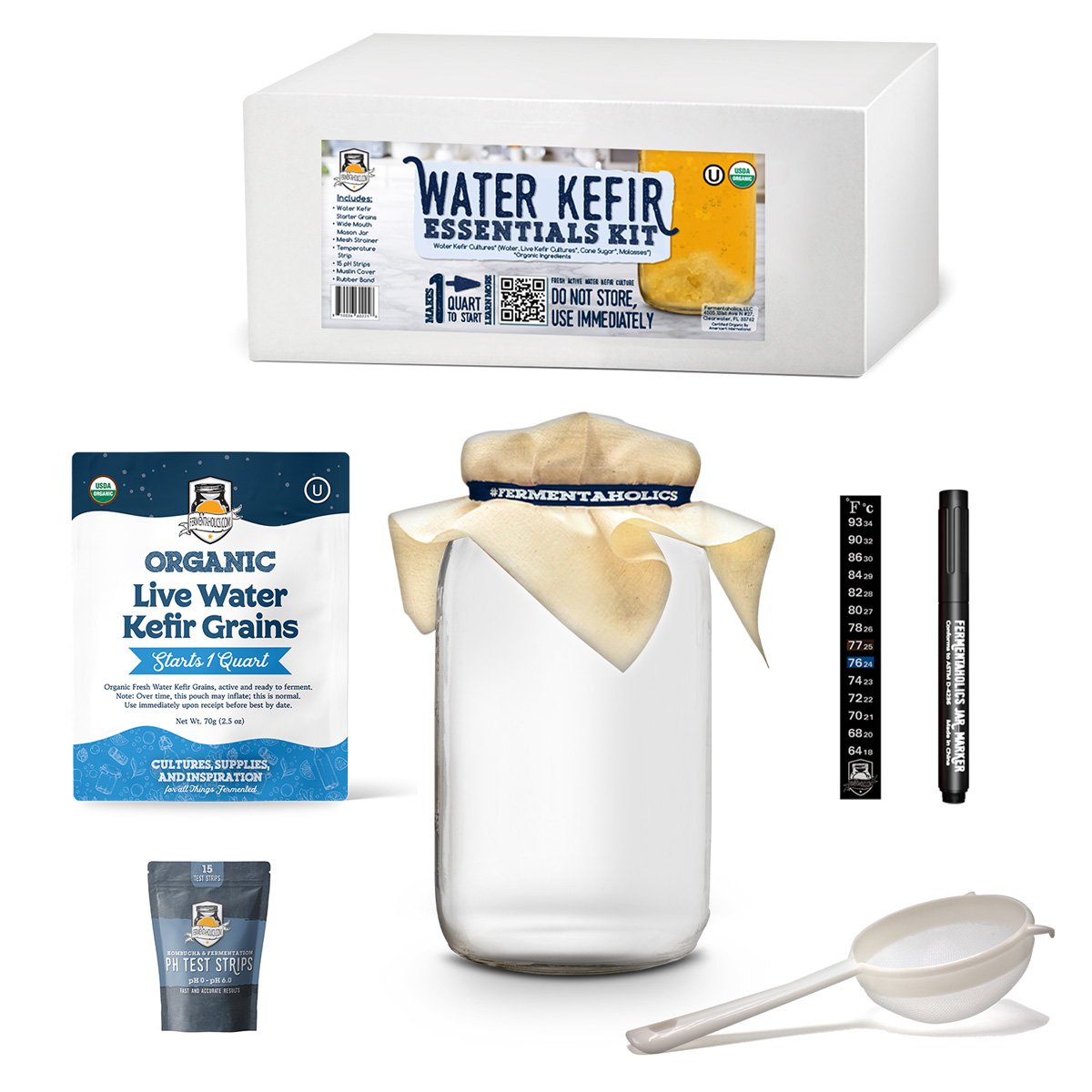Kefir Kit - Essentials - Walmart.com