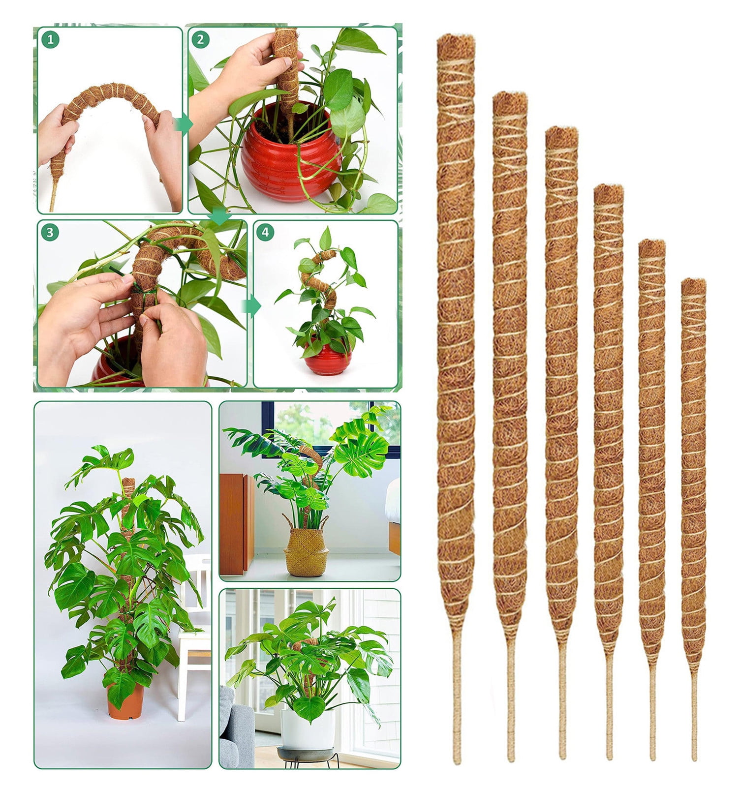 Kehua Plant Climbing Pole 40 cm Natural Fiber Curved Plant Pole, Sturdy ...