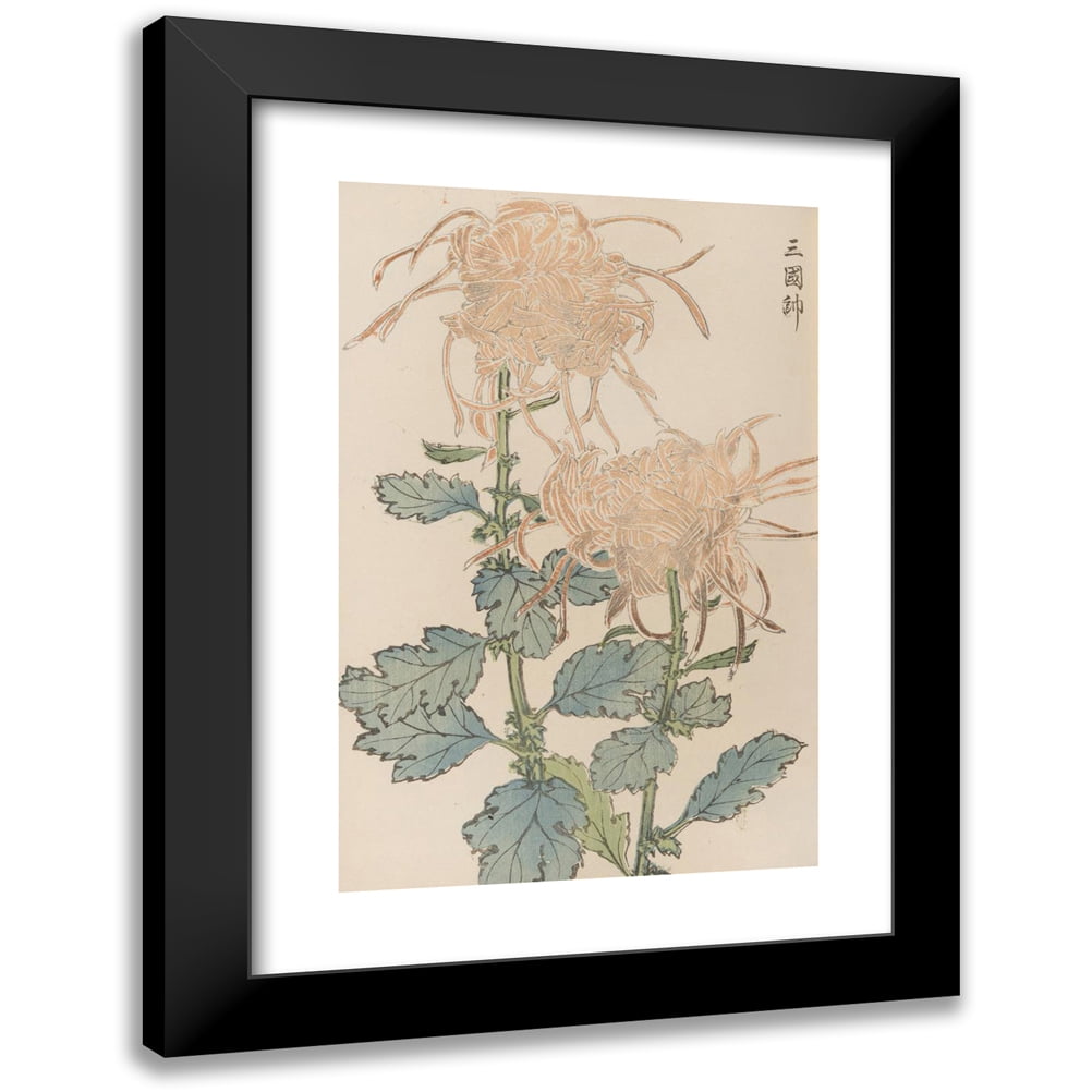 Keika Hasegawa 11x14 Black Modern Framed Museum Art Print Titled ...