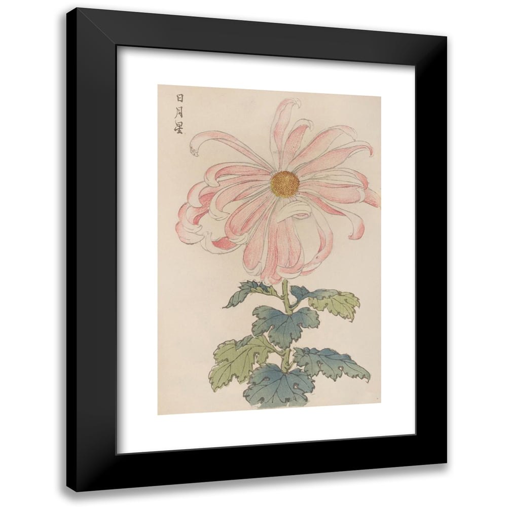 Keika Hasegawa 11x14 Black Modern Framed Museum Art Print Titled ...