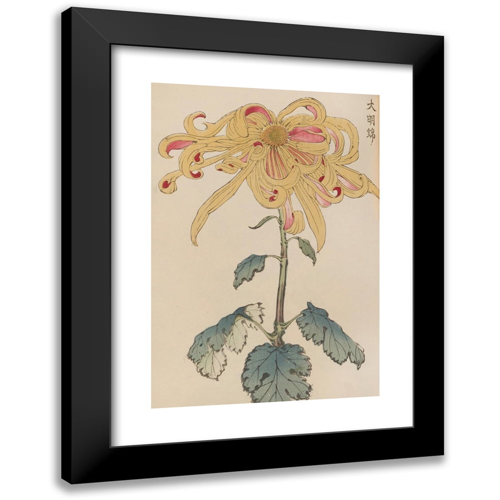 Keika Hasegawa 14x18 Black Modern Framed Museum Art Print Titled ...