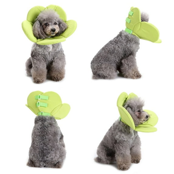 Keimprove Cat Neck Cone After Surgery Adjustable Cat E-collar Pet ...