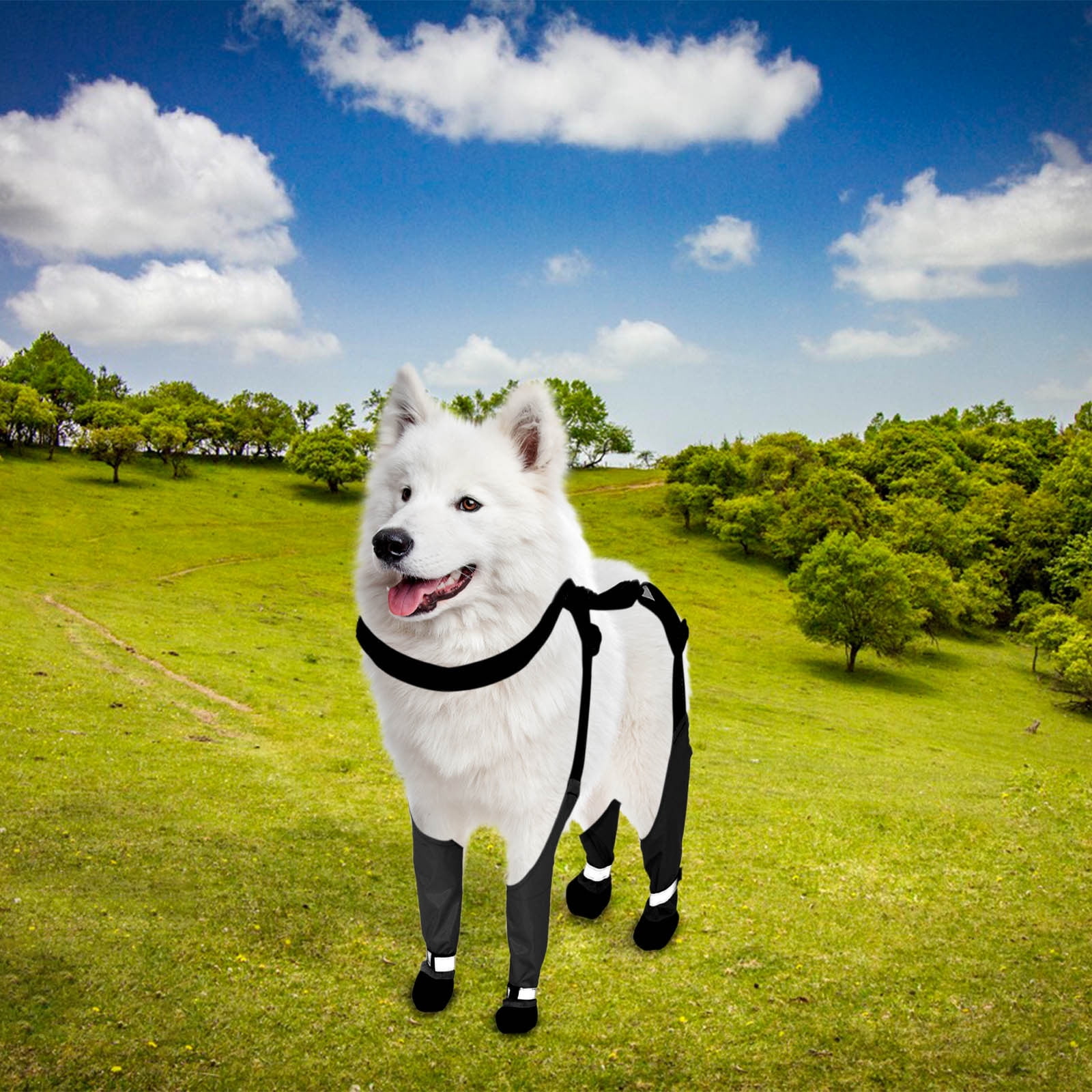 KeirineCC Dog Suspender Booties, Dog Paw Boot Leggings Anti-Slip, Dog ...