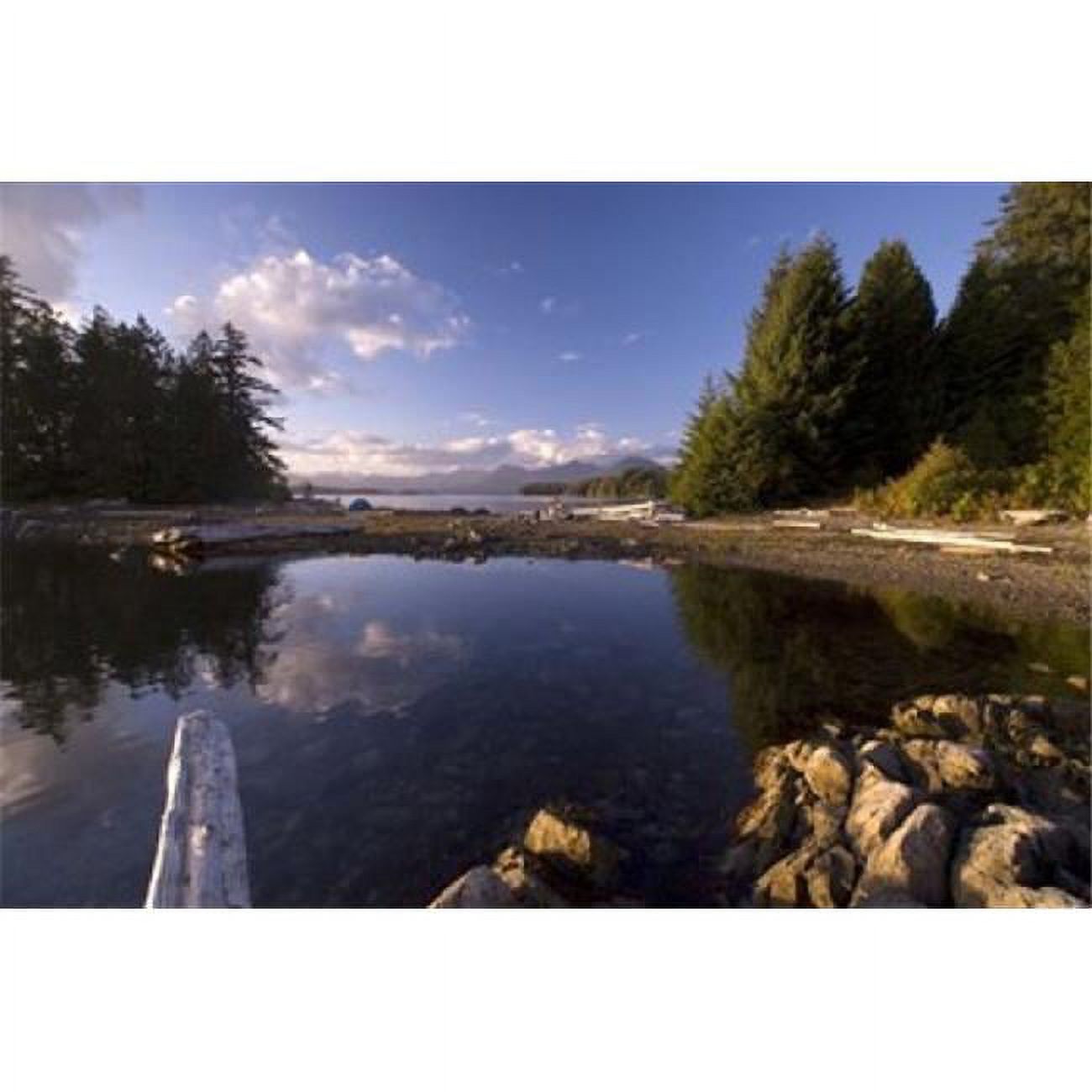 Keith Island Pacific Rim Np British Columbia Poster Print by Roddy ...