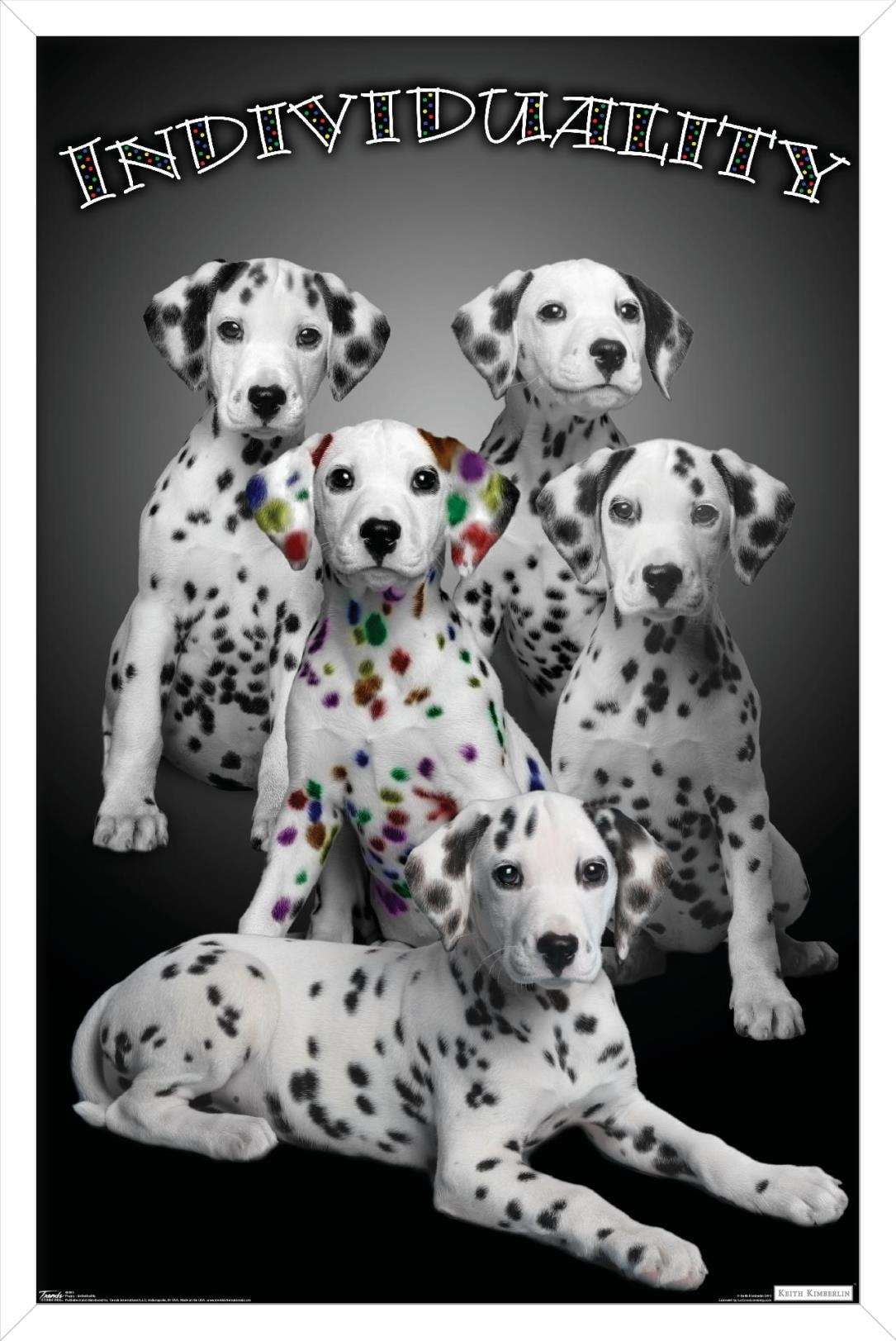 Keith Kimberlin - Dalmatian Puppies with Colored Spots - IndiViduality ...