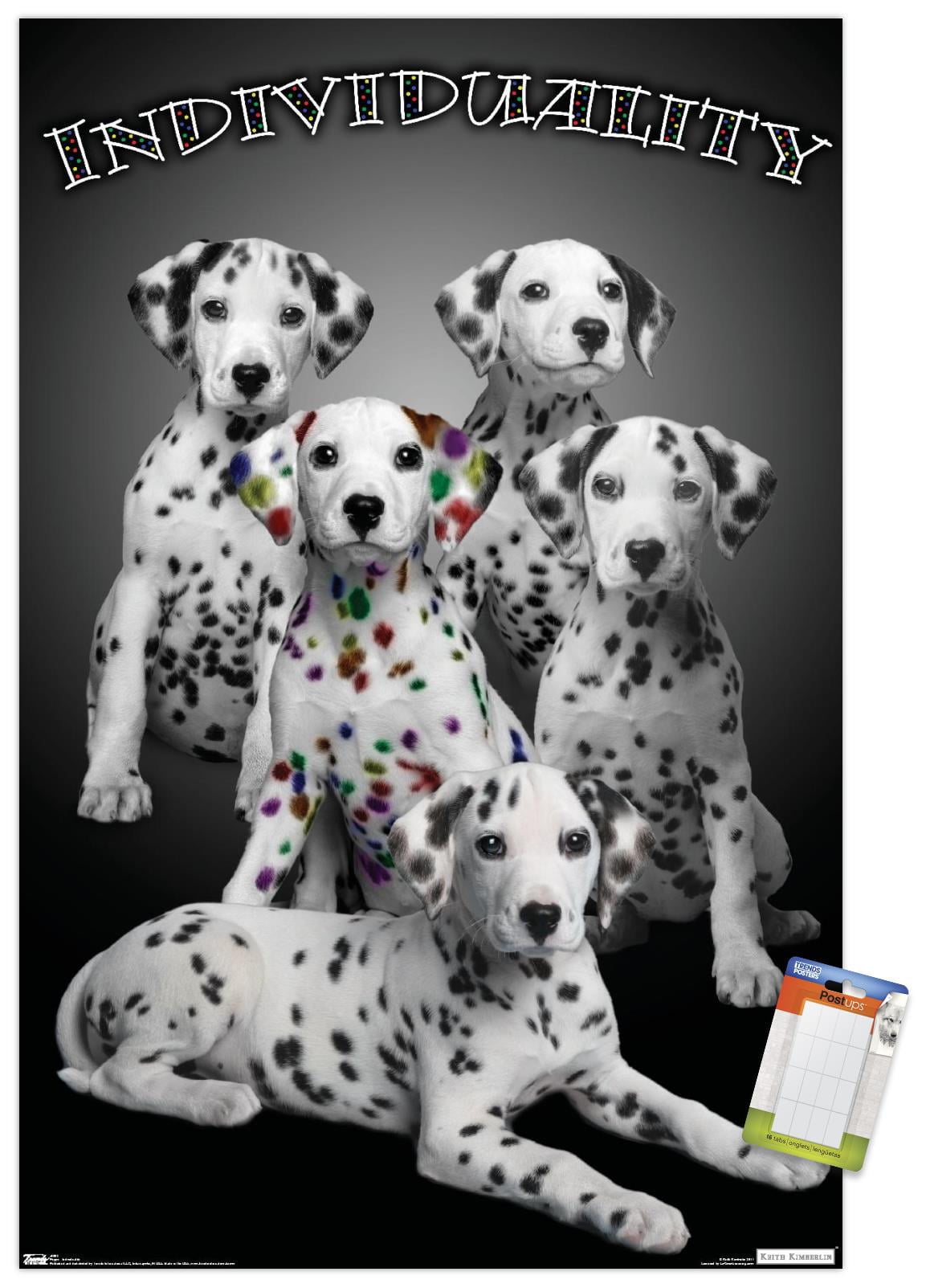 Keith Kimberlin - Dalmatian Puppies with Colored Spots - IndiViduality ...