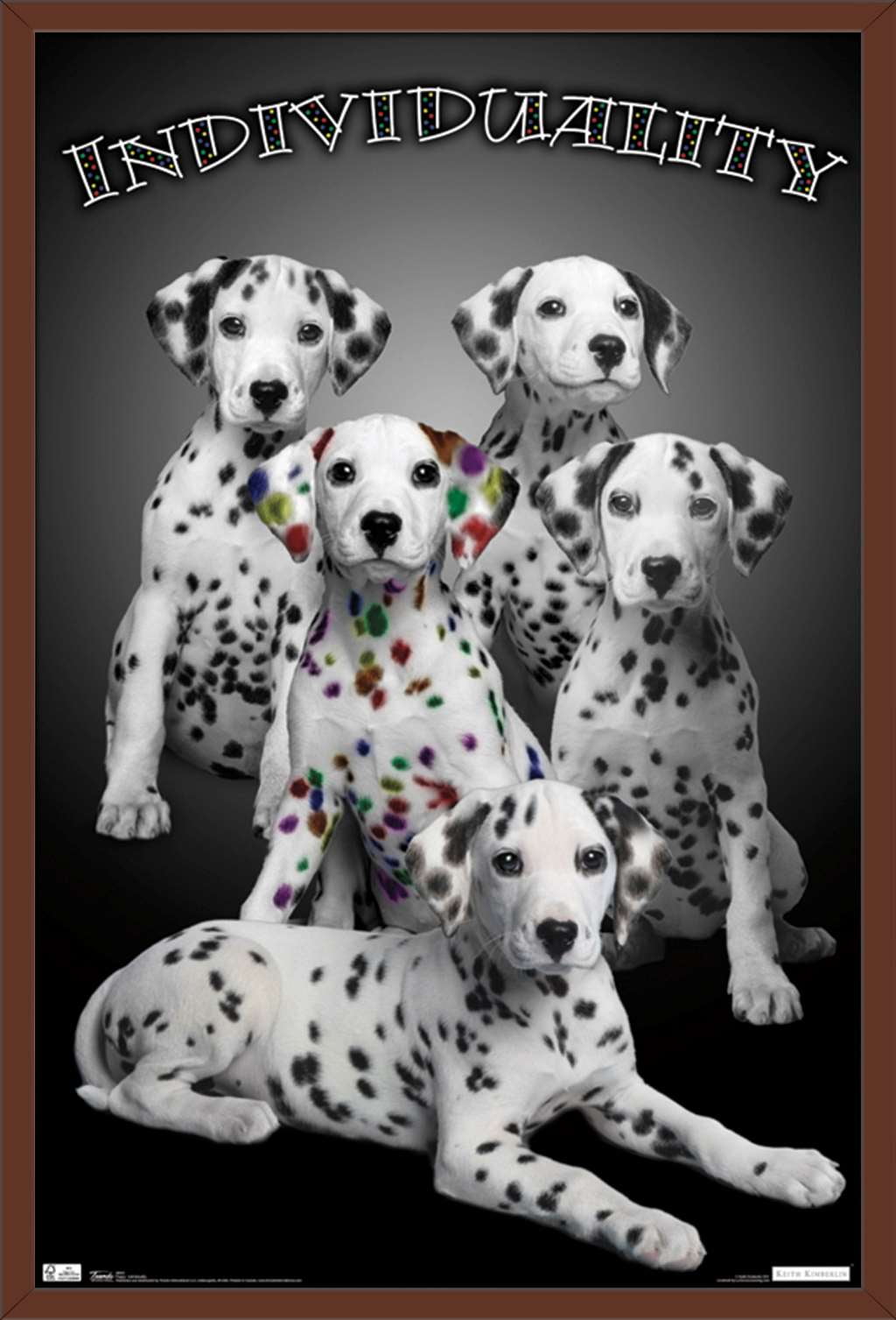 Keith Kimberlin - Dalmatian Puppies with Colored Spots - IndiViduality ...