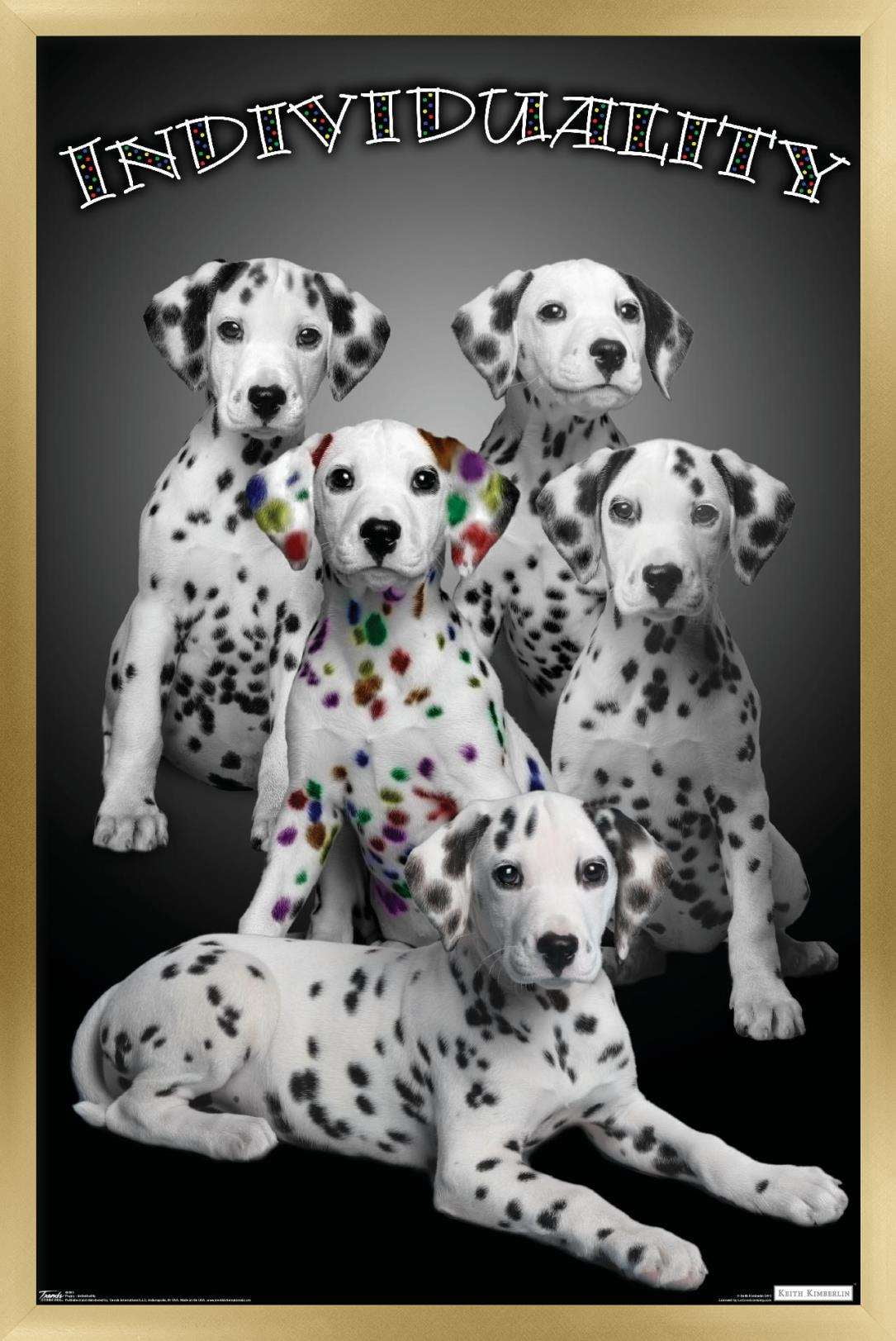 Keith Kimberlin - Dalmatian Puppies with Colored Spots - IndiViduality ...