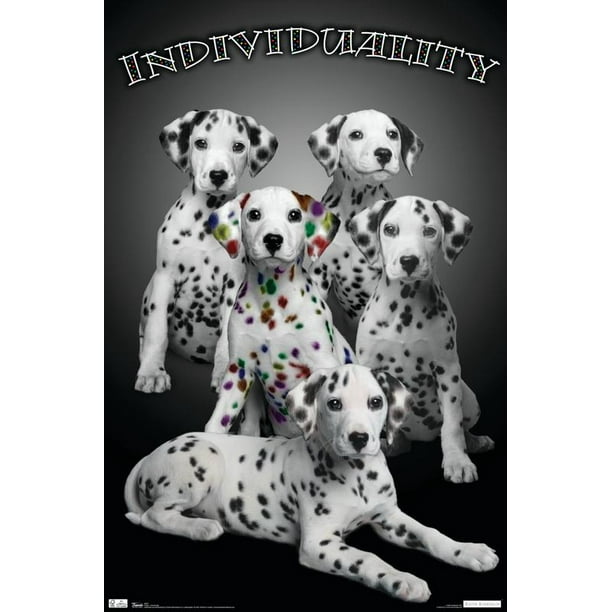 Keith Kimberlin - Dalmatian Puppies with Colored Spots - IndiViduality ...