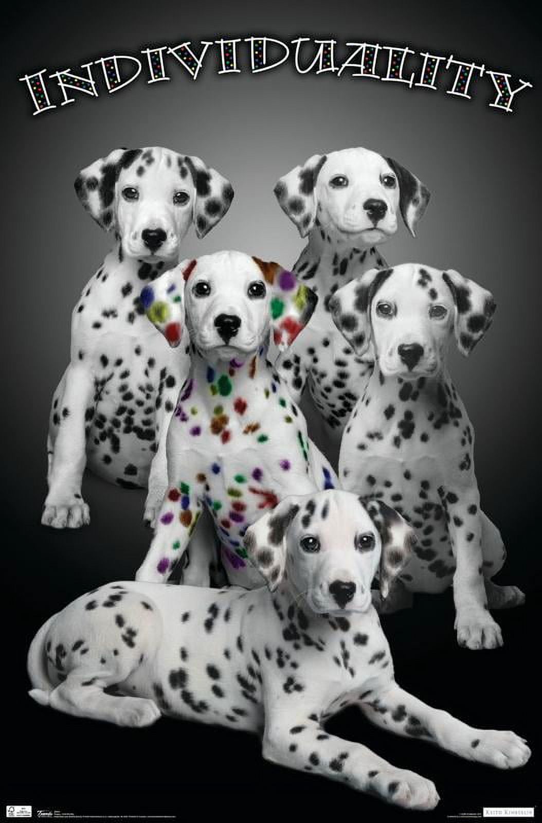 Keith Kimberlin - Dalmatian Puppies with Colored Spots - IndiViduality ...
