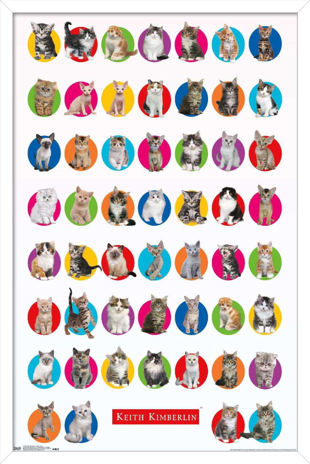Keith Kimberlin - Kitten Grid Wall Poster, 14.725" x 22.375", Framed ...