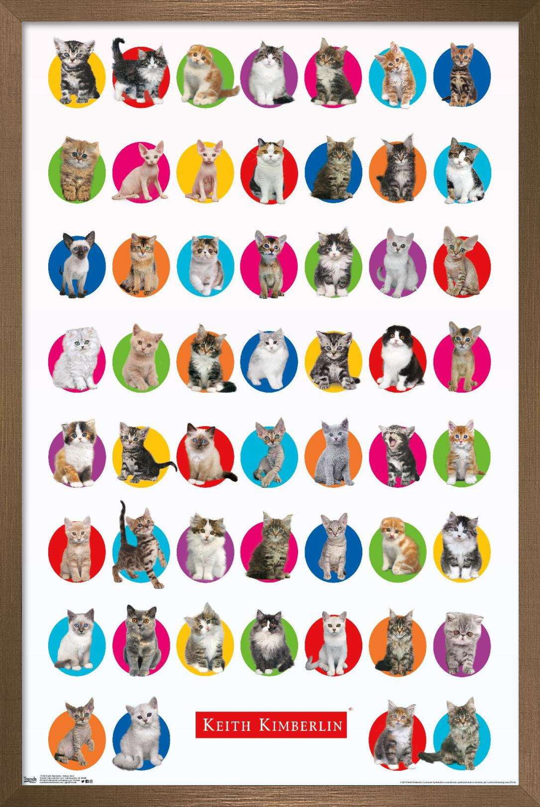 Keith Kimberlin - Kitten Grid Wall Poster, 22.375" x 34", Framed ...