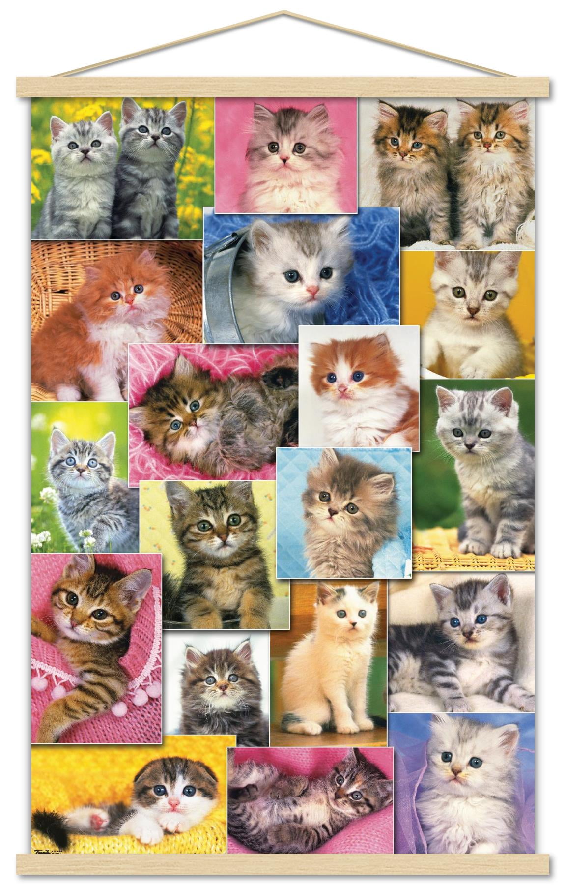 Keith Kimberlin - Kittens Collage Wall Poster with Wooden Magnetic ...