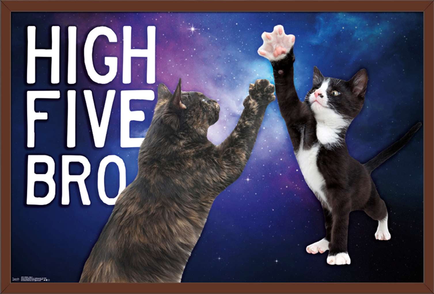 Keith Kimberlin - Kittens - High Five Bro in Space Wall Poster, 22.375 ...