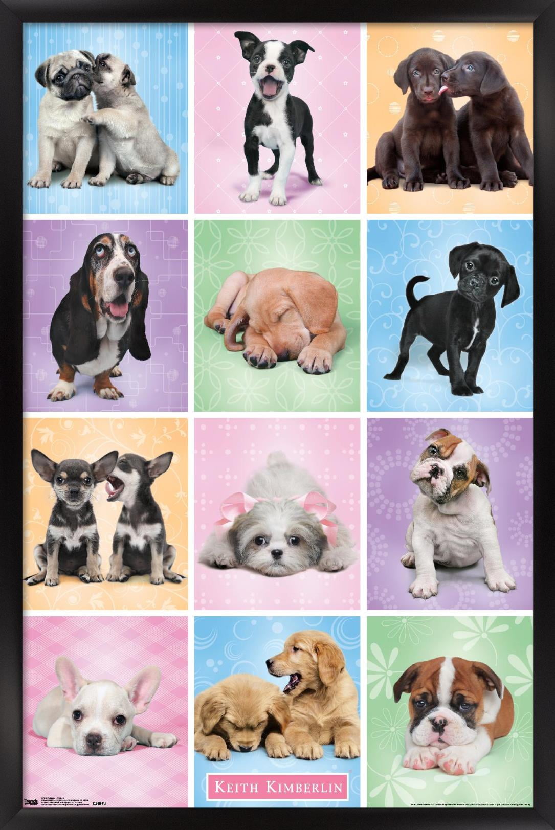 Keith Kimberlin - Puppies - Cuties Grid Wall Poster, 22.375" x 34 ...