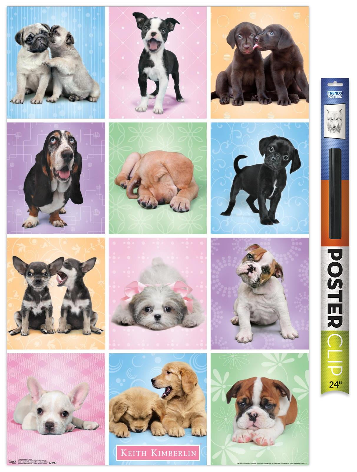 Keith Kimberlin - Puppies - Cuties Grid Wall Poster, 22.375" x 34 ...