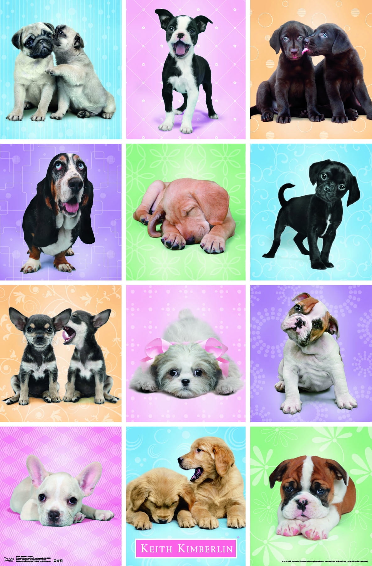 Keith Kimberlin - Puppies - Cuties Grid Wall Poster, 22.375" x 34 ...
