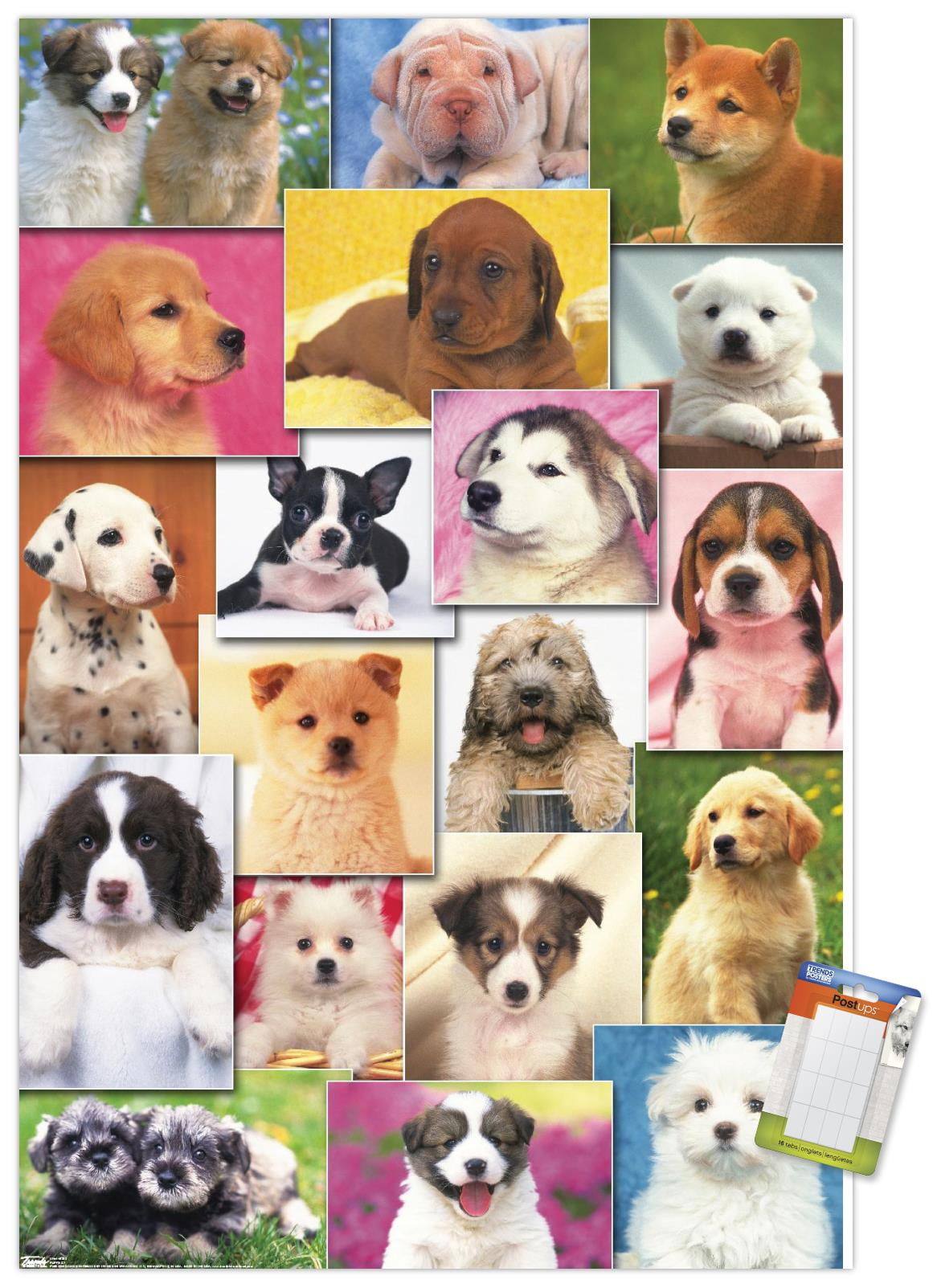 Keith Kimberlin - Puppies Grid Wall Poster, 14.725" x 22.375" - Walmart.com