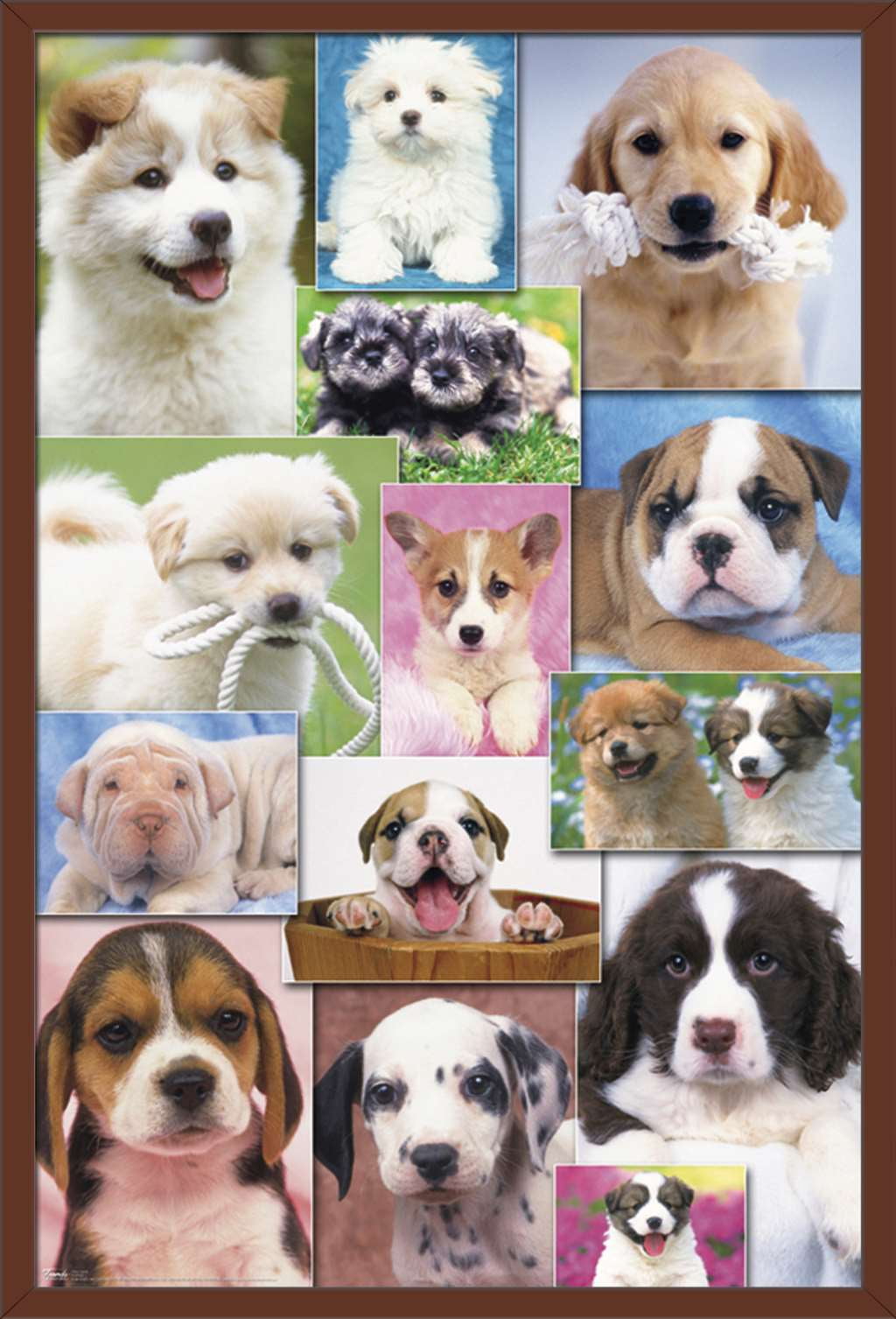 Keith Kimberlin - Puppies Grid Wall Poster, 22.375" x 34", Framed ...