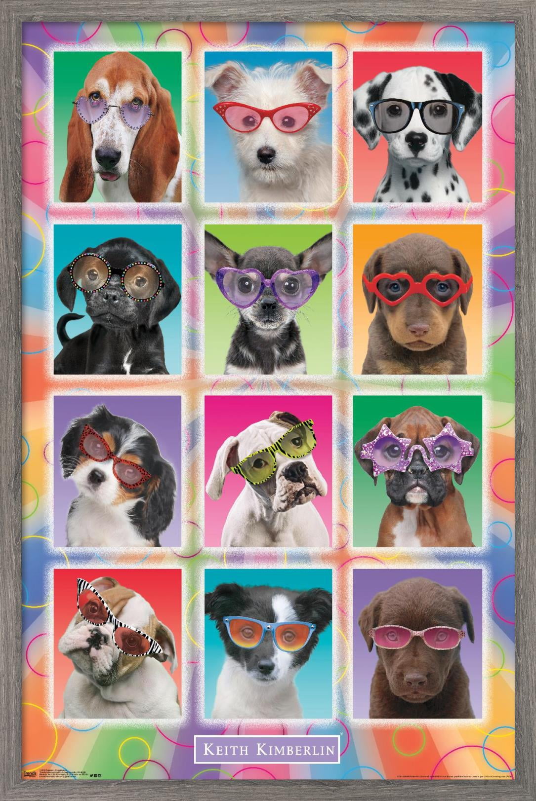 Keith Kimberlin - Puppies - Sunglasses Wall Poster, 14.725" x 22.375 ...