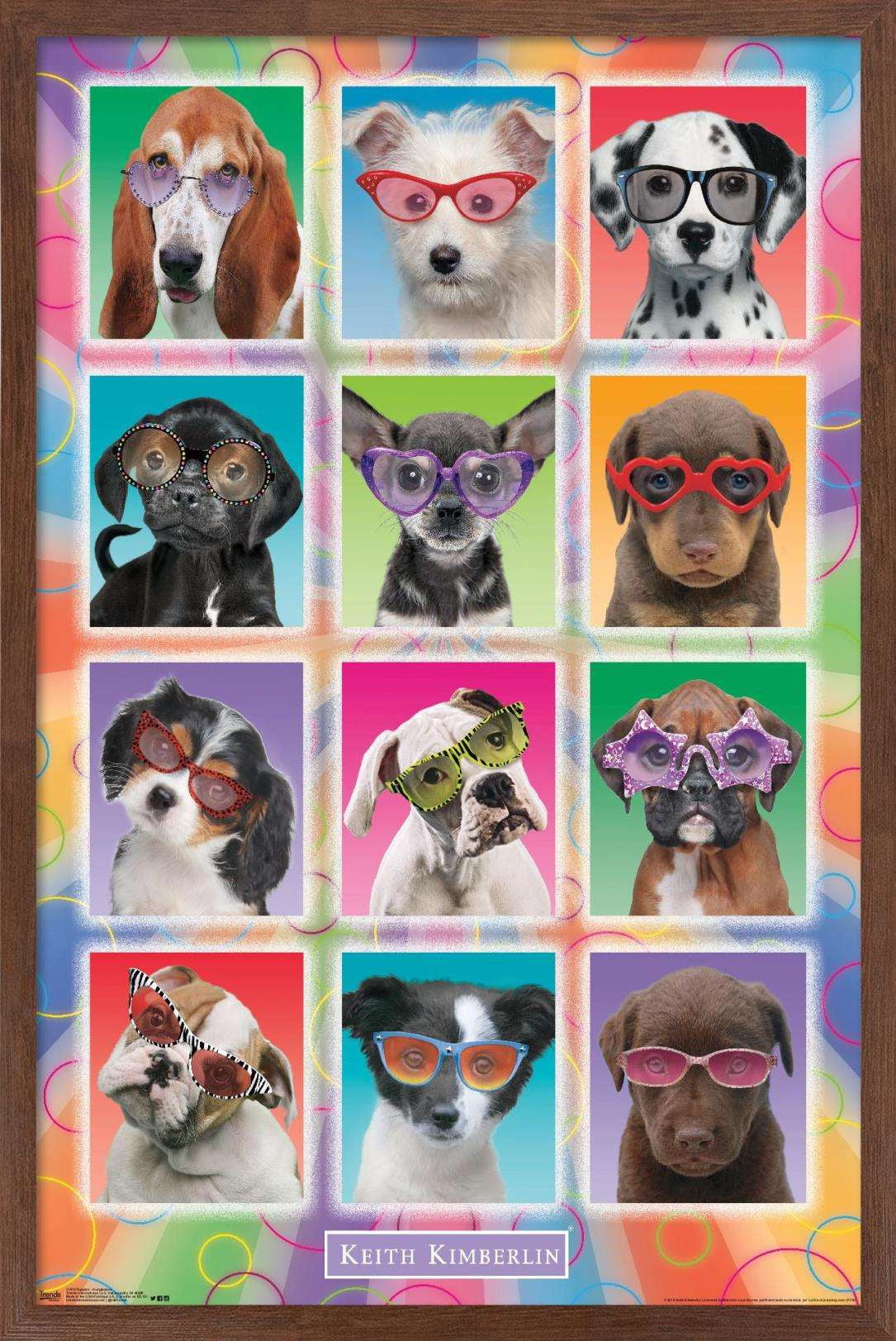 Keith Kimberlin - Puppies - Sunglasses Wall Poster, 14.725" x 22.375 ...